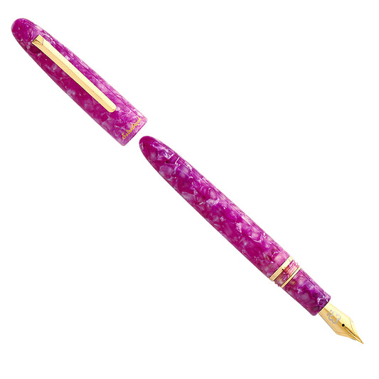 ESTERBROOK PENS – FPnibs
