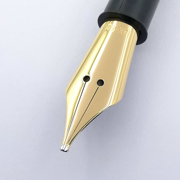 Bock 250 14k Music Nib – FPnibs